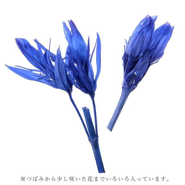 【商品仕様】全長：約7~10cm1箱約8輪入り【お伝えしたいこと】　※プリザーブドフラワーとは※生花に柔らかい質感を保つよう特殊加工を施したものです。プリザーブドフラワーは染料が染み出す場合があります。ご使用時も色移りにご注意ください。自然...