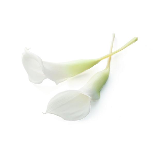 【商品仕様】約7〜9cm1箱5輪入り( allp5 )(10_dras)( 15_asoh )( 2025AW )凛とした花姿が特徴的な仏花アレンジからブライダルブーケまで幅広くおすすめのカラーのプリザです。( hcprs )( prfn ...