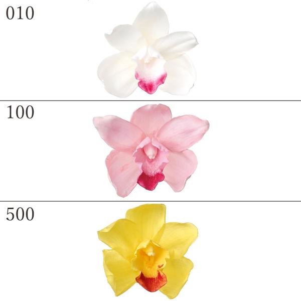 【商品仕様】花径約8〜9cm1箱3輪入り【お伝えしたいこと】　※プリザーブドフラワーとは※生花に柔らかい質感を保つよう特殊加工を施したものです。プリザーブドフラワーは染料が染み出す場合があります。ご使用時も色移りにご注意ください。自然素材の...