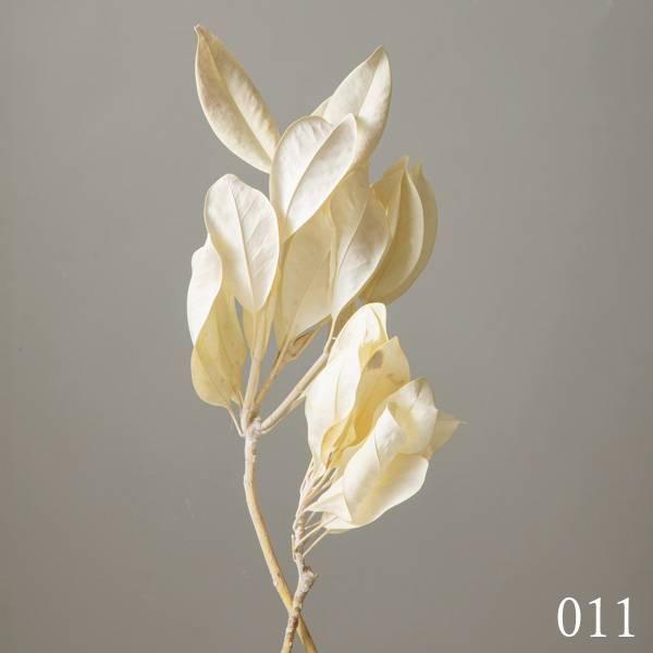 【商品サイズ】全長約35~60cm1束約1~3本※高温多湿・直射日光は色あせの原因になりますのでなるべくお避け下さい。温度が高い場所では染料が表面や切り口から漏れる恐れがあります。衣服を汚す恐れがありますので十分ご注意ください。( allp...