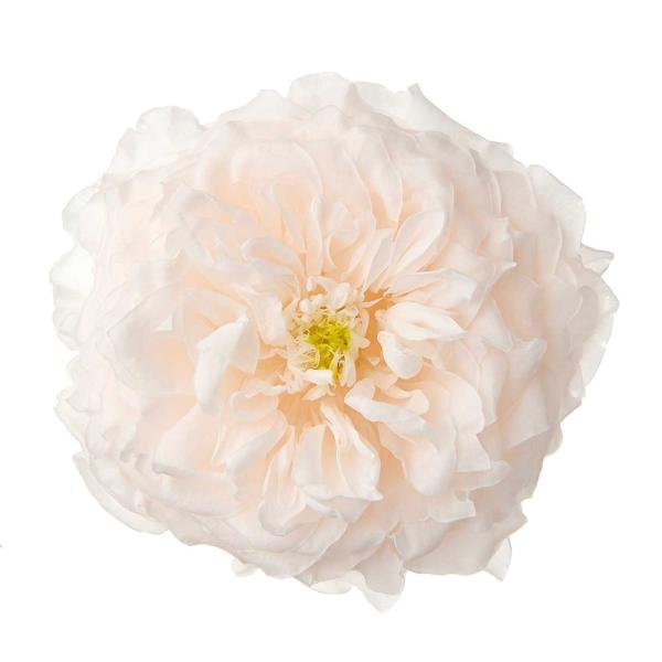 【商品仕様】花径：約5〜7cm花丈：約2〜3cm1箱3輪入り【お伝えしたいこと】　※プリザーブドフラワーとは※生花に柔らかい質感を保つよう特殊加工を施したものです。プリザーブドフラワーは染料が染み出す場合があります。ご使用時も色移りにご注意...