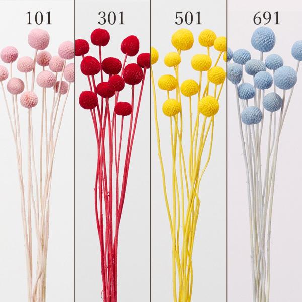 【商品仕様】約50cm約10本入り【お伝えしたいこと】自然素材の特性のため、色の仕上がりにも個体差があります。掲載画像と色味やサイズが異なる場合があります。茎や花の部分に白いものが付着している場合がありますが、植物由来の成分です。( all...