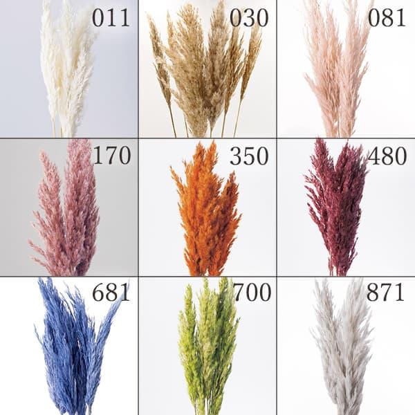 【商品仕様】全長約75cm約5本( allp5 )(10_dras)( intrdry )(15_asoh)ステムを活かして使える、ボリューム感のあるドライフラワーです。(dry)(nyflwr) ドライ 自然素材 ナチュラルドライフラワー...