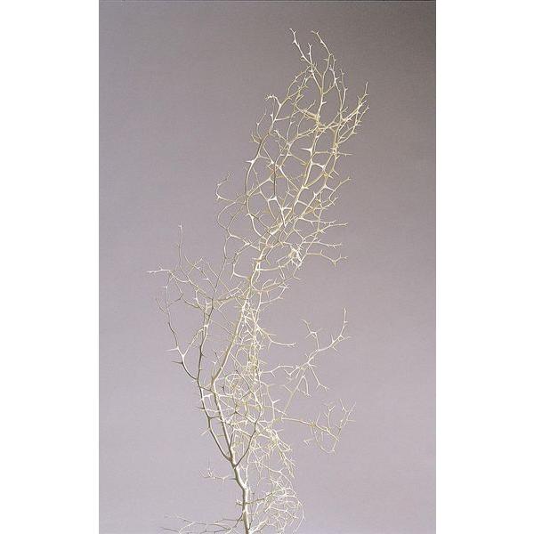 【商品仕様】約140~180cmL(2本)【お伝えしたいこと】※自然素材のため個体差がございます。掲載画像はお届けの一例であり、同じものをお届けできるわけではございません。ご了承の上お買い上げください。【メーカー直送品注意事項】★こちらは《...