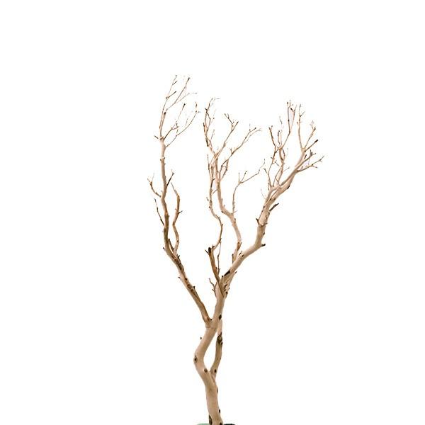 【商品仕様】全長約100cm1本【お伝えしたいこと】※自然素材のため個体差がございます。掲載画像はお届けの一例であり、同じものをお届けできるわけではございません。ご了承の上お買い上げください。【メーカー直送品注意事項】★こちらは《大型商品》...