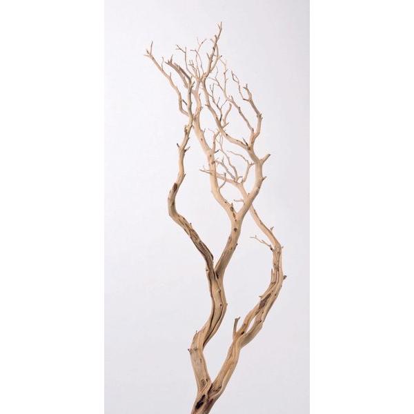 【商品仕様】約2~2.5m(1本)【お伝えしたいこと】※自然素材のため個体差がございます。掲載画像はお届けの一例であり、同じものをお届けできるわけではございません。ご了承の上お買い上げください。【メーカー直送品注意事項】★こちらは《大型商品...