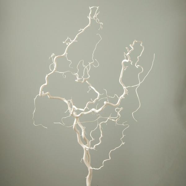 【商品仕様】全長約110~130cm1束2本入り【お伝えしたいこと】自然素材のため、一点一点形や大きさが異なります。掲載画像はあくまで参考程度にお考え下さい。【メーカー直送品注意事項】★こちらは《大型商品》のため、メーカーより直送いたします...