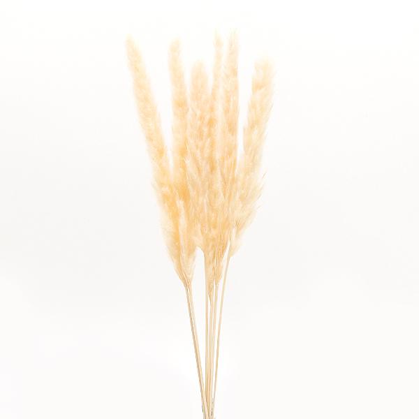【商品仕様】全長 約50cm前後【お伝えしたいこと】※ドライ加工した商品の特性上、穂が落ちやすくなっております。ヘアスプレーや当店で取り扱っているネオ・ルシールを使っていただくと落ちやすさが軽減されますので、気になる場合はお試しください。 ...