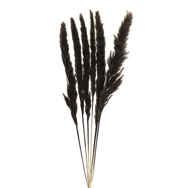 【商品仕様】全長 約50cm前後【お伝えしたいこと】※ドライ加工した商品の特性上、穂が落ちやすくなっております。ヘアスプレーや当店で取り扱っているネオ・ルシールを使っていただくと落ちやすさが軽減されますので、気になる場合はお試しください。 ...