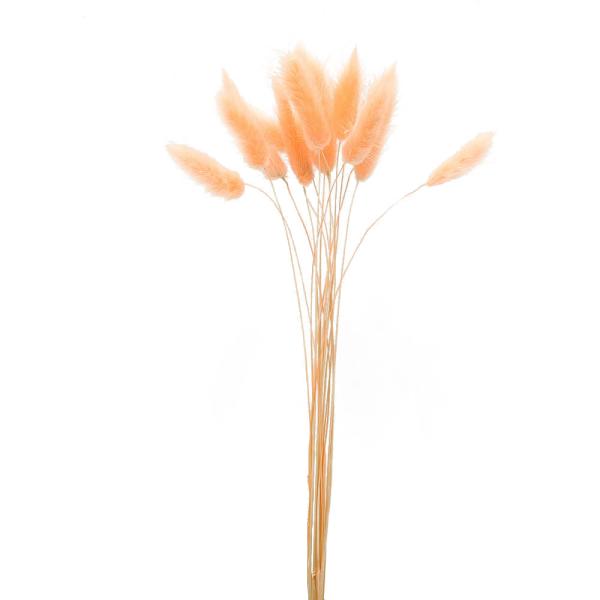 【商品仕様】全長 約40cm【お伝えしたいこと】※花材を入れている袋にしわが入っている場合があります。※ドライ加工した商品の特性上、穂が落ちやすくなっております。ヘアスプレーや当店で取り扱っているネオ・ルシールを使っていただくと落ちやすさが...