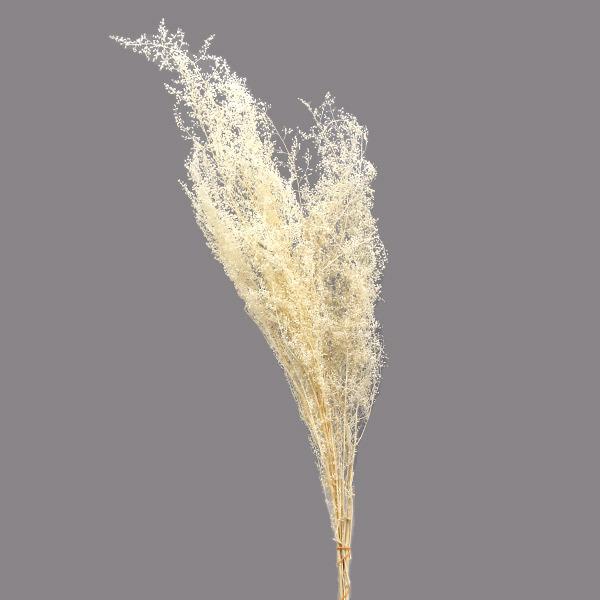 【商品仕様】全長約45~60cm1束(約25g)【お伝えしたいこと】 ※プリザーブドフラワーとは※生花に柔らかい質感を保つよう特殊加工を施したものです。プリザーブドフラワーは染料が染み出す場合があります。ご使用時も色移りにご注意ください。自...