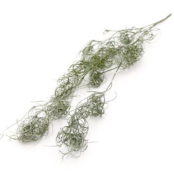 【商品サイズ】約40~60cm1束約2~3本入り【お伝えしたいこと】※プリザーブドグリーンは、高湿度になると非常に液だれがしやすい商品です。色移りもありますので、壁や衣服などに直接当たらないよう飾ってください。( allp5 )(10_dr...