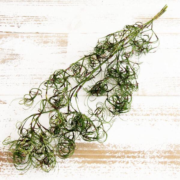 【商品サイズ】約40~60cm1束約2~3本入り( allp5 )(10_dras)( 15_asoh )( drygr )カールしたユニークな形状の葉が印象的な存在感と動きのあるグリーンです。( grleaf )( dbridl )( r...