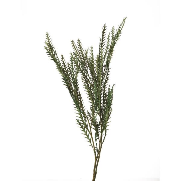 【商品仕様】 約30g全長約40~50cm( allp5 )(10_dras)( 15_asoh )( drygr )( grleaf ) ワイルドフラワー ドライフラワー スワッグ ブーケ ドライフラワー花束 リーフ 葉 ドライフラワース...