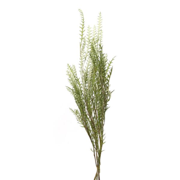 【商品仕様】全長 約40~70cm1束(約30g・約2本)( allp5 )(10_dras)( 15_asoh )( drygr )( grleaf ) 花材 素材 材料 パーツ ライトグリーン ワイルドフラワー スワッグ ブーケ ドライ...