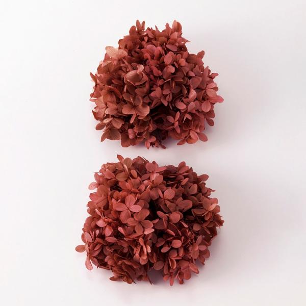 【商品仕様】約2輪分【お伝えしたいこと】 ※プリザーブドフラワーとは※生花に柔らかい質感を保つよう特殊加工を施したものです。プリザーブドフラワーは染料が染み出す場合があります。ご使用時も色移りにご注意ください。自然素材の特性のため、色の仕上...