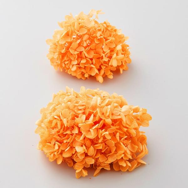 【商品仕様】約2輪分【お伝えしたいこと】※プリザーブドフラワーとは※生花に柔らかい質感を保つよう特殊加工を施したものです。プリザーブドフラワーは染料が染み出す場合があります。ご使用時も色移りにご注意ください。自然素材の特性のため、色の仕上が...