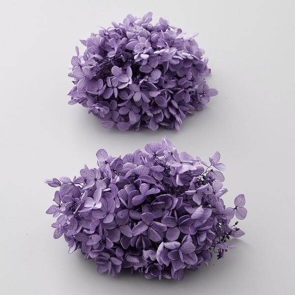 【商品仕様】約2輪分【お伝えしたいこと】※プリザーブドフラワーとは※生花に柔らかい質感を保つよう特殊加工を施したものです。プリザーブドフラワーは染料が染み出す場合があります。ご使用時も色移りにご注意ください。自然素材の特性のため、色の仕上が...