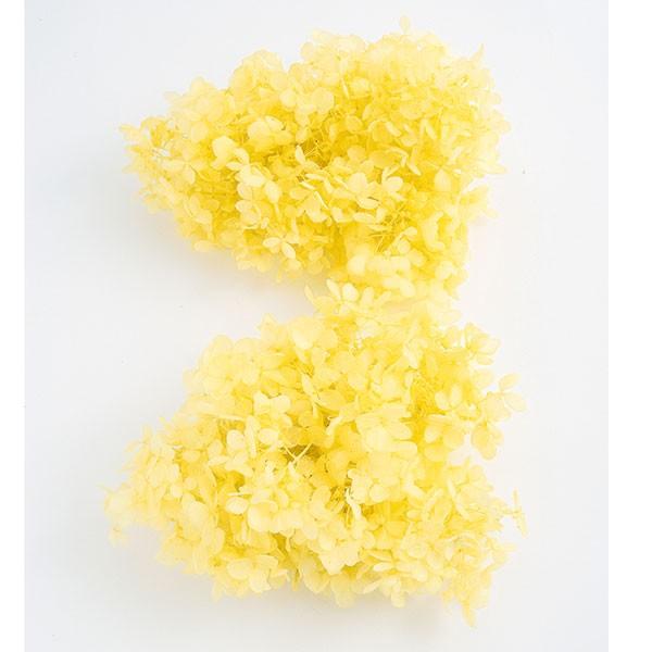 【内容量】約2輪分( allp5 )(10_dras)( 15_asoh )小ぶりで可愛い花形が特徴のアジサイです。花材の隙間に使える定番商品です。( yellowor ) アジサイ あじさい 紫陽花 花びら プリザーブドフラワー スワッグ...