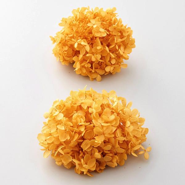 【商品仕様】約2輪分【お伝えしたいこと】※プリザーブドフラワーとは※生花に柔らかい質感を保つよう特殊加工を施したものです。プリザーブドフラワーは染料が染み出す場合があります。ご使用時も色移りにご注意ください。自然素材の特性のため、色の仕上が...