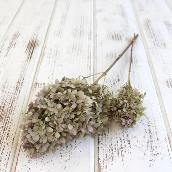 【商品サイズ】全長約40~50cm1束(約1~2本)【お伝えしたいこと】 ※プリザーブドフラワーとは※生花に柔らかい質感を保つよう特殊加工を施したものです。プリザーブドフラワーは染料が染み出す場合があります。ご使用時も色移りにご注意ください...