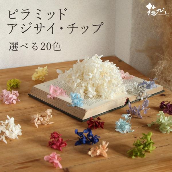 プリザーブドフラワー 花材 即日出荷 ピラミッドアジサイ チップ プリザーブドフラワー 花材 即日出荷 ピラミッドアジサイ チップ