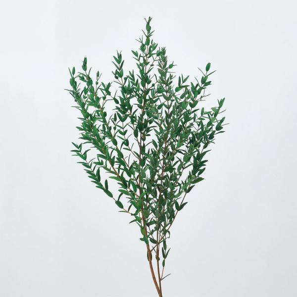 【商品仕様】全長約50cm/1束(約40g)【お伝えしたいこと】※ユーカリの性質上、葉の形や大きさに多少バラつきがあります。※加工の薬品や自然素材特有の特徴的な香りがします。風通しの良い場所にしばらく置いていただくと、多少薄れてきます。※プ...