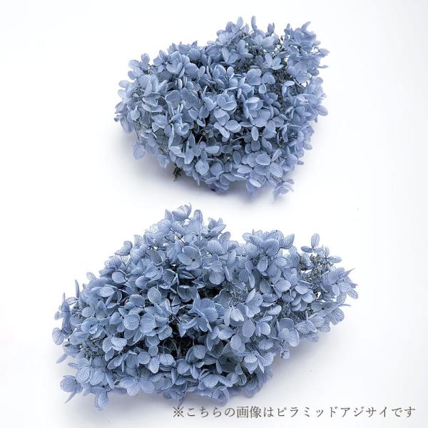 【商品仕様】1箱(約2輪分)( allp5 )(10_dras)( 15_asoh )( 2026AW )( hcprs )ガクが大きめでピラミッドアジサイに近いサイズ感のアナベルアジサイのプリザーブドフラワーです。カラーラインナップもピラ...