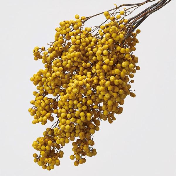 【商品仕様】全長約25~30cm約55g【お伝えしたいこと】一つ一つの実の中に空間があるため、保管中の乾燥で、へこみや亀裂が生じることがございます。また、外部から力がかかると粒が割れたり欠けてしまいます。自然素材の特性としてご理解くださいま...
