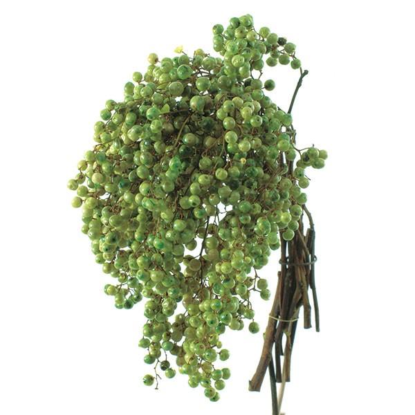 【商品サイズ】約25~30cmL約55g【お伝えしたいこと】一つ一つの実の中に空間があるため、保管中の乾燥で、へこみや亀裂が生じることがございます。また、外部から力がかかると粒が割れたり欠けてしまいます。自然素材の特性としてご理解くださいま...