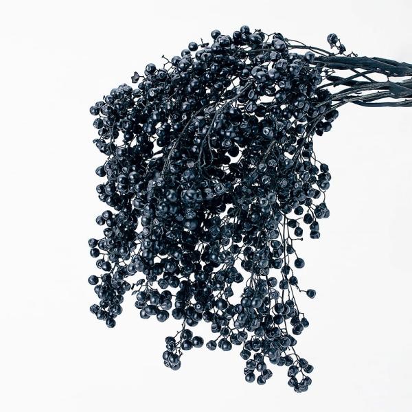 【商品サイズ】約25~30cmL約55g【お伝えしたいこと】一つ一つの実の中に空間があるため、保管中の乾燥で、へこみや亀裂が生じることがございます。また、外部から力がかかると粒が割れたり欠けてしまいます。自然素材の特性としてご理解くださいま...