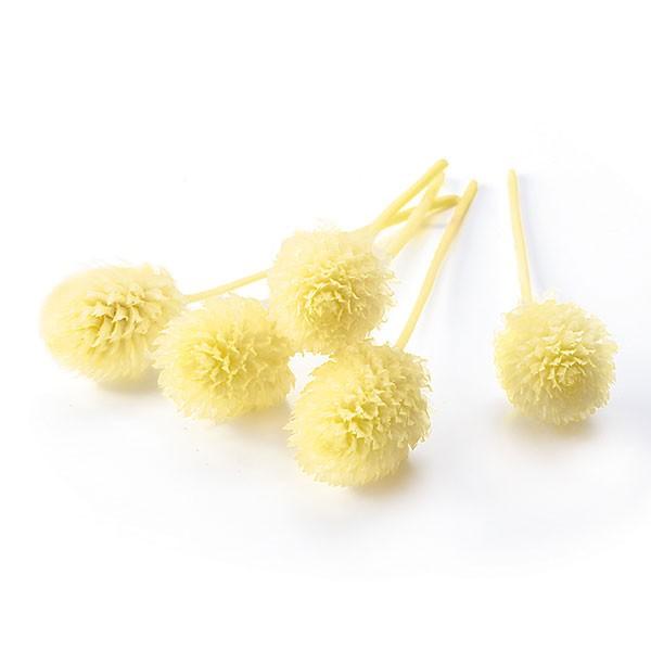 【商品サイズ・内容量】全長約2~4cm花サイズ1~3cm1箱30輪入り( allp5 )(10_dras)( 15_asoh )アレンジを可愛くボリュームアップできる千日紅がプリザーブドで登場しました。こちらは若干の茎を残した【ヘッドのみ】...