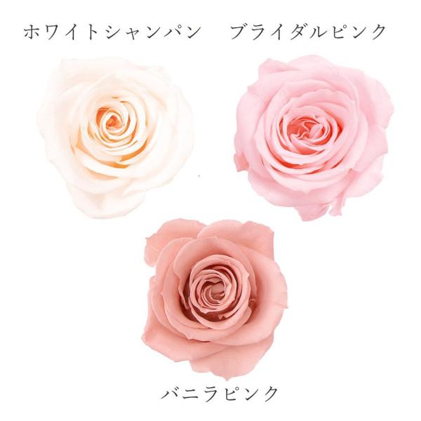 【商品仕様】花径:約3.5~4.5cm花丈:約3~3.5cm(3色各3輪入り)【お伝えしたいこと】 ※プリザーブドフラワーとは※生花に柔らかい質感を保つよう特殊加工を施したものです。プリザーブドフラワーは染料が染み出す場合があります。ご使用...