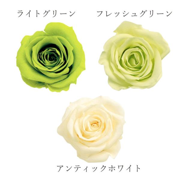 【商品仕様】花径:約3.5~4.5cm花丈:約3~3.5cm(3色各3輪入り)【お伝えしたいこと】 ※プリザーブドフラワーとは※生花に柔らかい質感を保つよう特殊加工を施したものです。プリザーブドフラワーは染料が染み出す場合があります。ご使用...