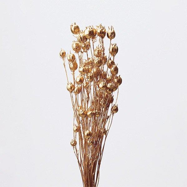 【商品仕様】全長約35-50cm1束約30g入り( allp5 )(10_dras)( 15_asoh )( 2024AW )ぷっくりと風船のようにふくらんだ姿が特徴のフーセンポピー。華やかなアクセントとしてぴったり！可愛らしい形を生かした...