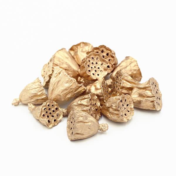 【商品仕様】約2.5~5cm1袋約15コ入り【お伝えしたいこと】※木の実は自然素材の性質上、割れや欠け・潰れが含まれる場合があります。( allp5 )(10_dras)( 15_asoh )( gldslvpt ) 蓮 ドライフラワー 木...