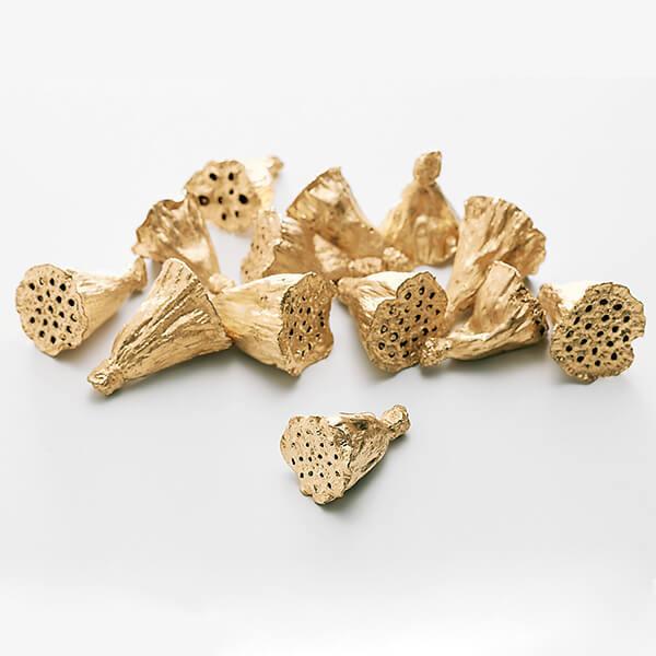 【商品仕様】約1~2.5cm約20個入り【お伝えしたいこと】※木の実は自然素材の性質上、割れや欠け・潰れが含まれる場合があります。( allp5 )(10_dras)( 15_asoh )( gldslvpt ) ドライフラワー 木の実 ス...