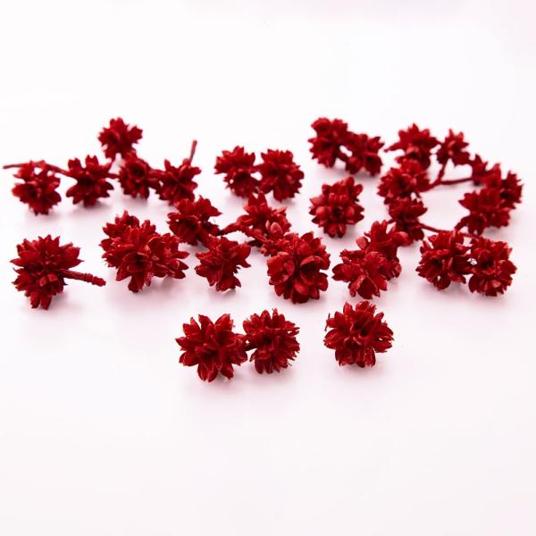 【商品仕様】約2cm(約20g・約30~50個)【お伝えしたいこと】※木の実は自然素材の性質上、割れや欠け・潰れが含まれる場合があります。( 10_dras )( 15_asoh )( allp5 )( 40per )ポップコーンのような形...