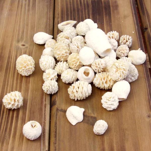 【商品仕様】約120g入り【お伝えしたいこと】※木の実は自然素材の性質上、割れや欠け・潰れが含まれる場合があります。( allp5 )(10_dras)( 15_asoh )6種類の使いやすい実のアソートです。通年使いやすいホワイトカラーで...