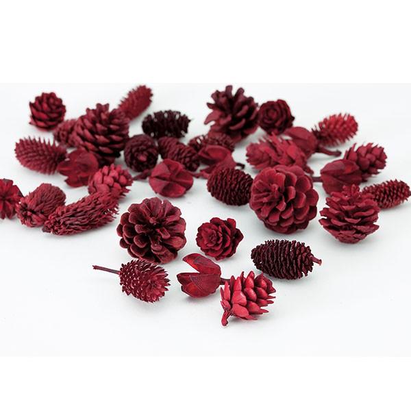 【商品仕様】1袋(約50g・約35個入り)【お伝えしたいこと】※木の実は自然素材の性質上、割れや欠け・潰れが含まれる場合があります。( allp5 )(10_dras)( 15_asoh )( redpk )( cornaso ) ドライフ...