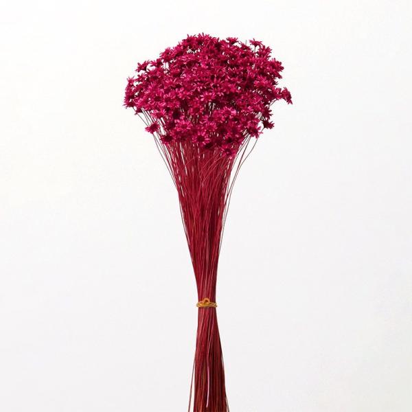 【商品サイズ】全長約30cm花サイズ約1~1.5cm約18g・約300本【お伝えしたいこと】※花のサイズに個体差があったり、一部に折れている花や、取れている花が含まれる場合がございます。※植物の特性上、ステム部分に原料由来のワタ状のものが付...