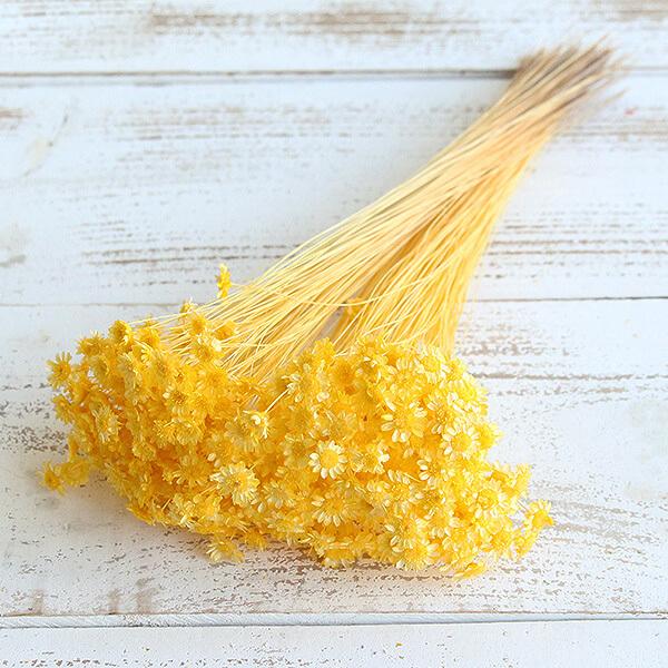 【商品サイズ】約30cmL(約18g・約300本)花サイズ:約1~1.5cm【お伝えしたいこと】※花のサイズに個体差があったり、一部に折れている花や、取れている花が含まれる場合がございます。※植物の特性上、ステム部分に原料由来のワタ状のもの...