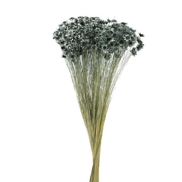 【商品仕様】全長約30cm約18g(1束)【お伝えしたいこと】※花のサイズに個体差があったり、一部に折れている花や、取れている花が含まれる場合がございます。※植物の特性上、ステム部分に原料由来のワタ状のものが付着している場合がございます。※...