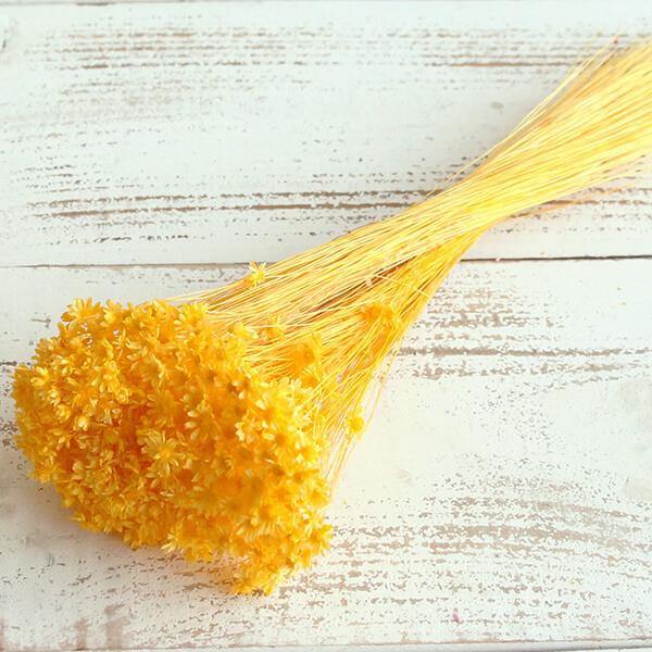【商品サイズ】全長:約22cm花サイズ:約0.3~1cm1束約12g・約400本【お伝えしたいこと】※花のサイズに個体差があったり、一部に折れている花や、取れている花が含まれる場合がございます。※植物の特性上、ステム部分に原料由来のワタ状の...