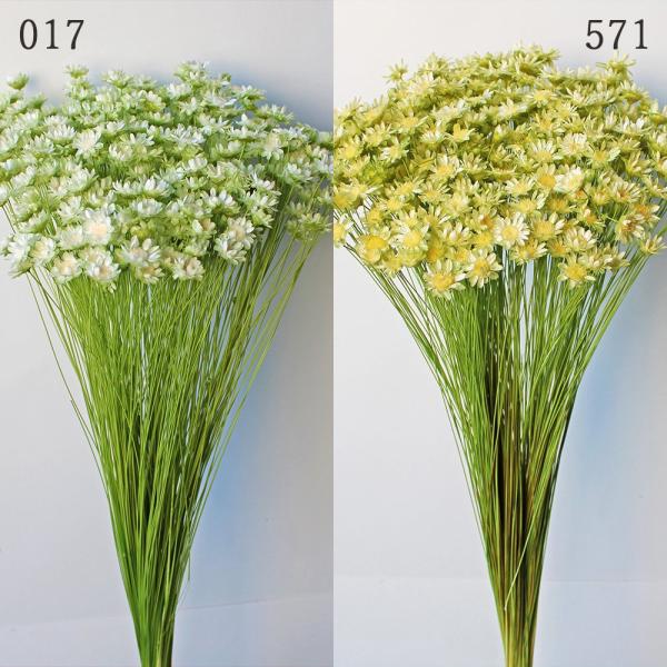 【商品仕様】全長約30cm花サイズ：約1?1.5cm1束約18g【お伝えしたいこと】※花のサイズに個体差があったり、一部に折れている花や、取れている花が含まれる場合がございます。※植物の特性上、ステム部分に原料由来のワタ状のものが付着してい...