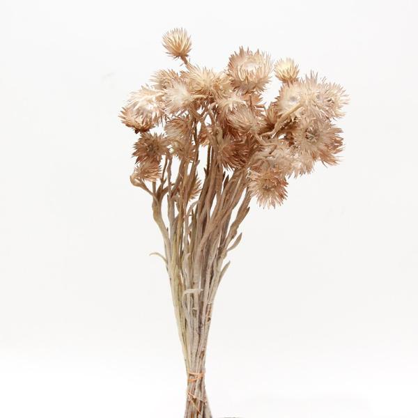 【商品仕様】全長:約30cm花径:約2~4cm1束(約25g)( 10_dras )( 15_asoh )( allp5 )( 40per )繊細で落ち着きのある白とゴールドのカラーでアレンジに彩を添えてくれます。アレンジやリース、ブーケ、...