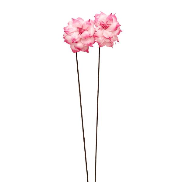 【商品仕様】全長約50cm/花径約10cm/1束(2本)( allp5 )(10_dras)( 15_asoh )( 2026AW )( 40per )大輪のクレマチスのソラフラワーです。優美な花姿でアレンジやブーケにアクセントを添えてくれ...