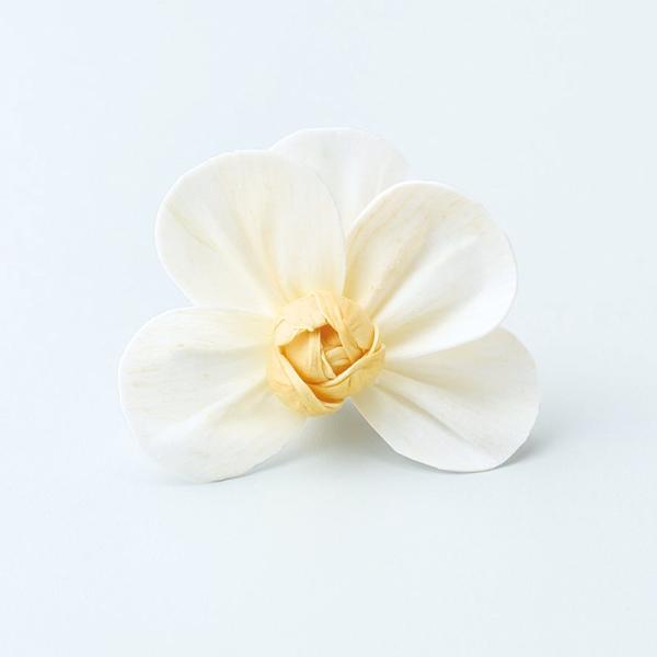 【商品仕様】花径：約6cm1袋5輪入り(15_asoh)( 2026SS )( allp5 )花芯のイエローがアクセントになった、成人式の髪飾り、迎春や仏花・和のアレンジからブライダルにも使える胡蝶蘭のソラフラワーです。ソラ独特のナチュラル...