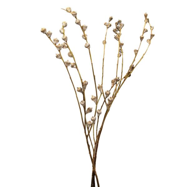 【商品仕様】全長約55cm約65g(1束)( 10_dras )( 15_asoh )( allp5 )ユニークで存在感のある形が魅力のドライ素材です。実のように見えるのは花のつぼみです。※季節により形状が変わる場合があります。( 2022...