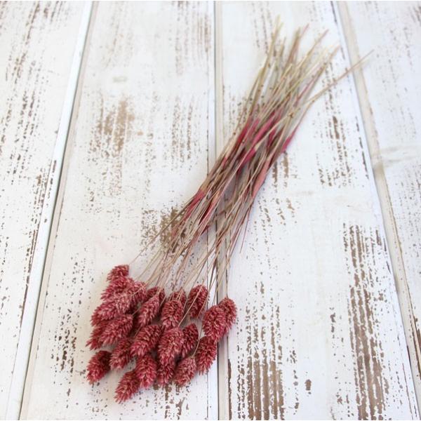 【商品サイズ】全長約40cm約15~20g【お伝えしたいこと】※植物自体の特性で穂のボリュームの差が大きい商品です。同じものが一つとしてない商品との一期一会をお楽しみください。( allp5 )(10_dras)( 15_asoh )( d...